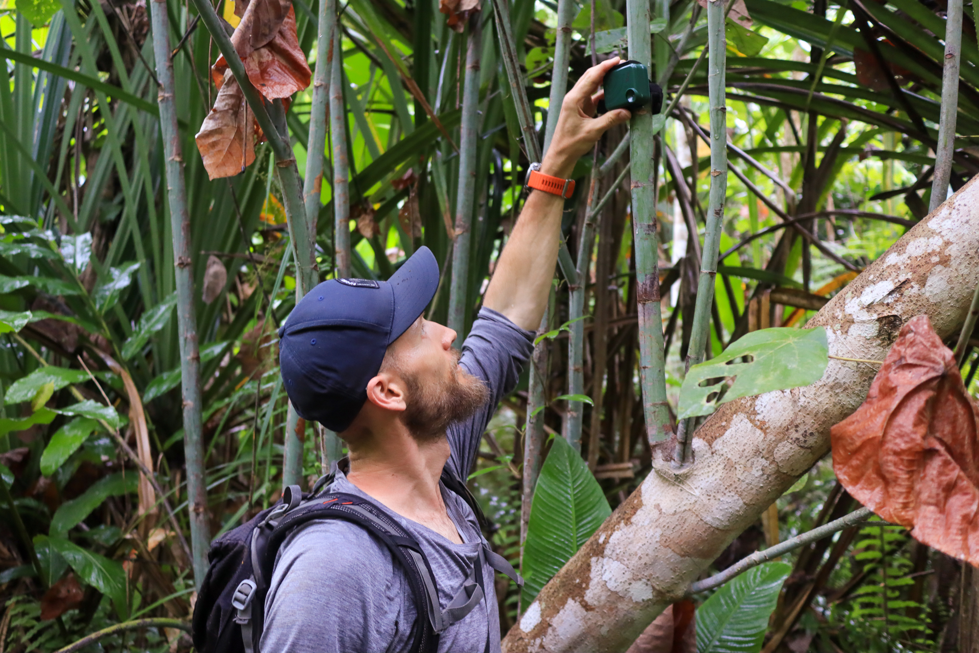 KŘEHKÁ KRAJINA - Matyáš Adam & Leona Vyhnálková - Fakulta logistiky a ...